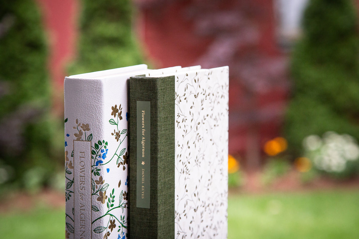 July Gyaff - Updates from the Press– Conversation Tree Press