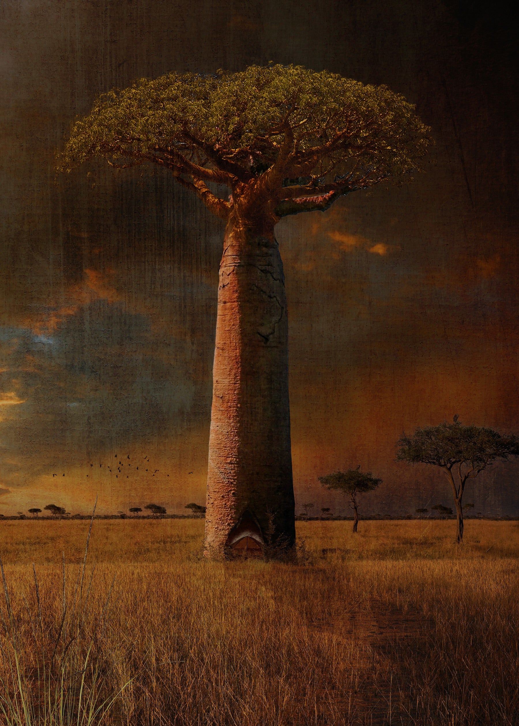 Faun by Joe Hill - Standard State– Conversation Tree Press