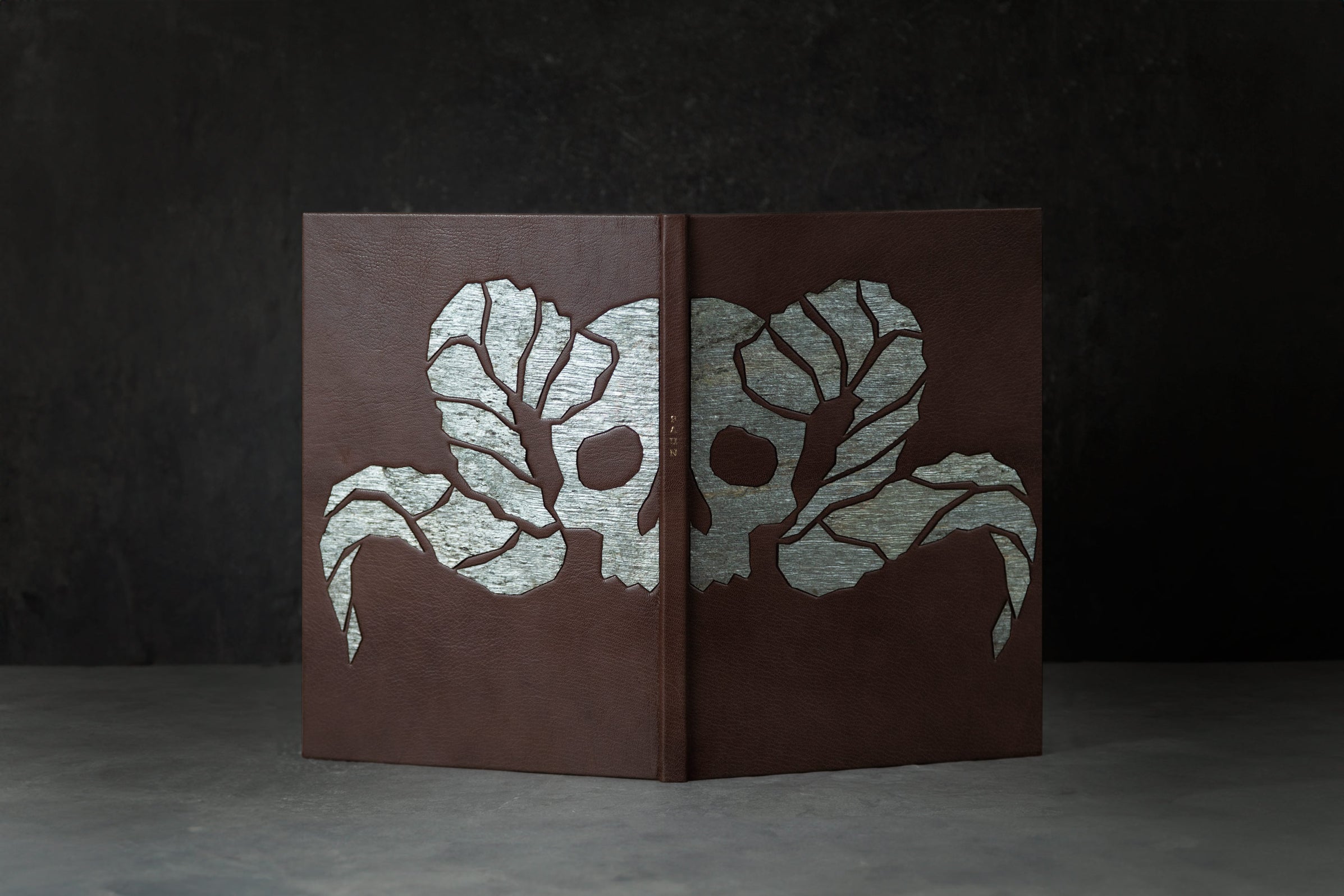 Faun by Joe Hill - Lettered State– Conversation Tree Press